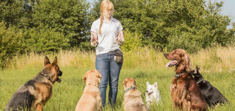APDT – Association of Pet Dog Trainers Australia Inc